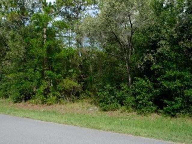 10554 N Haitian Dr, Citrus Springs, FL 34434