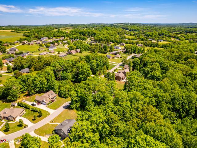 1055 Houston Springs Rd, Greenback, TN 37742 | MLS #1327