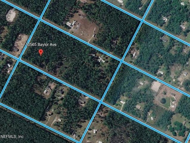 10565 Baylor Ave, Hastings, FL 32145