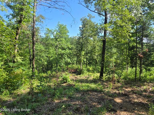 1057 Hunting Ground Rd