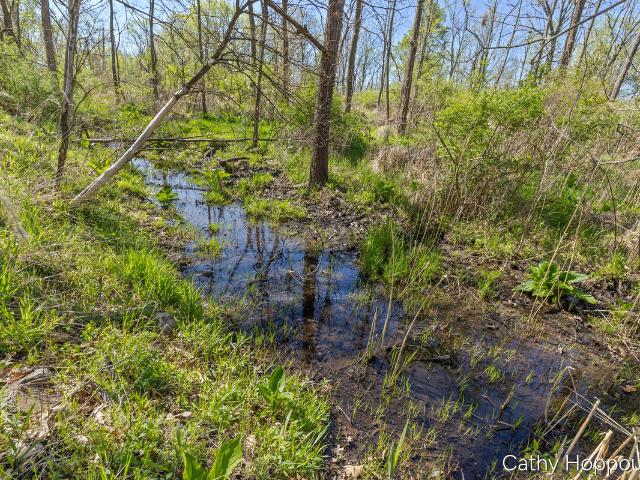 1057 W Tuttle Road