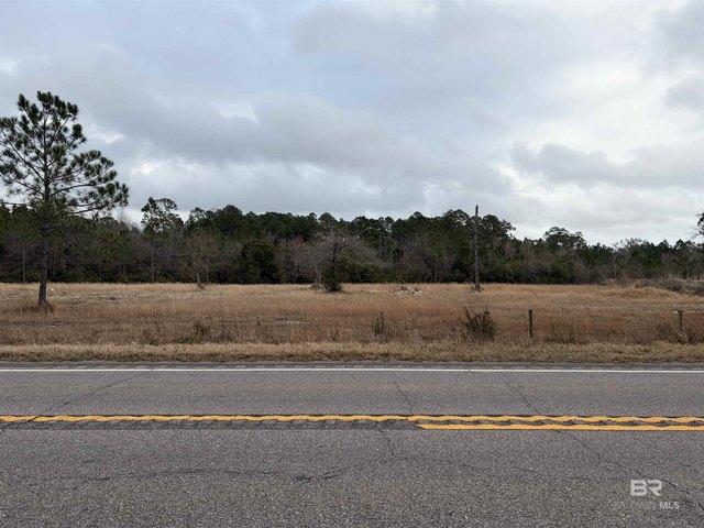 10585 Bellingrath Rd Lot 3, Theodore, AL 36582