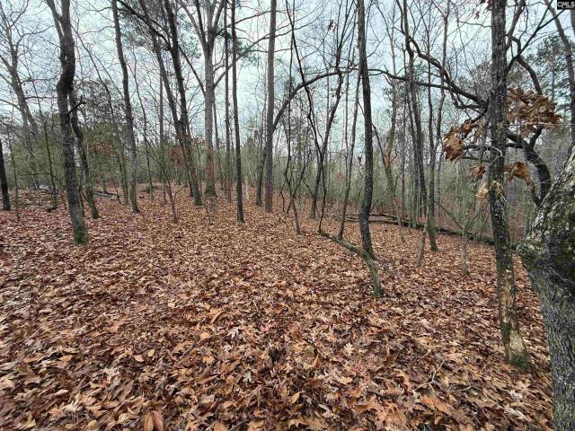 1058 Hinson Branch Road Lot 1