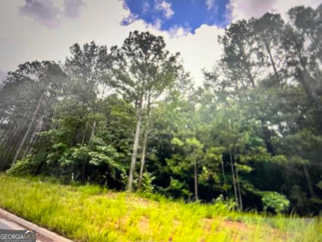 1058 Waverly Dr, Griffin, GA 30224 | MLS #10664 | Compass