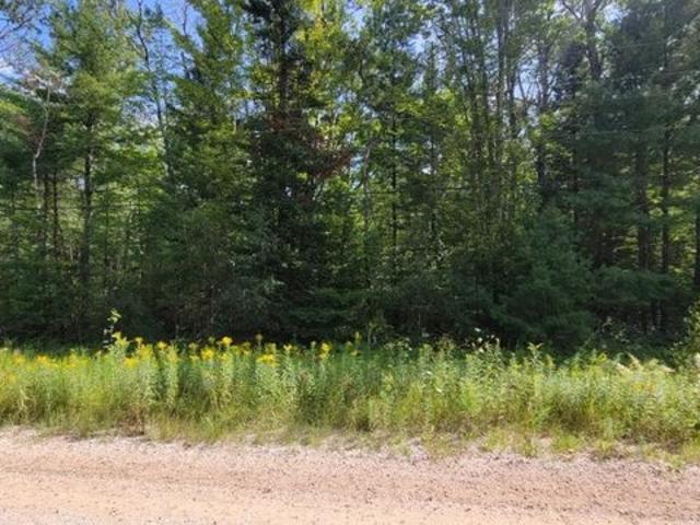 10597 Avenue Du Chalet, Wolverine, MI 49799
