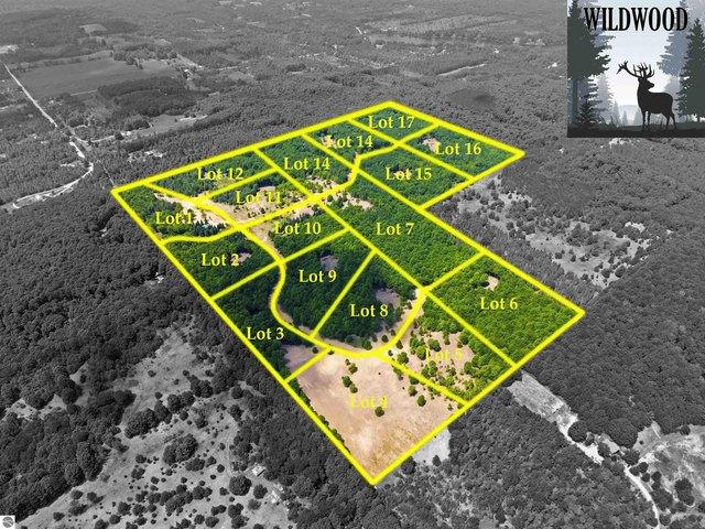 10598 SW Pine Ridge Unit Wildwood Dr Lot 17, Fife Lake, MI 49633