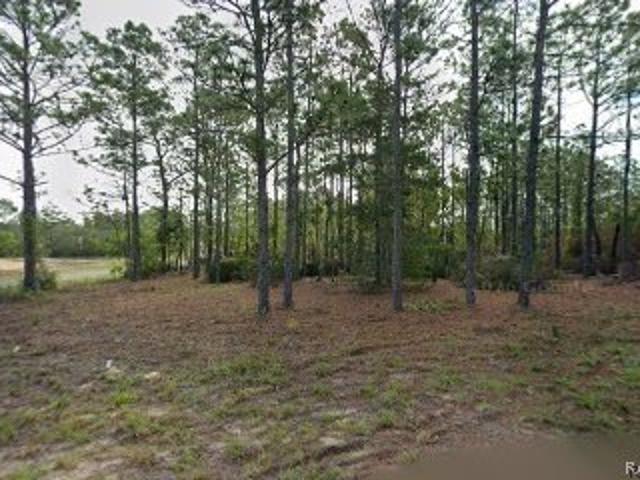 10599 N Caldera Ave, Dunnellon, FL 34433
