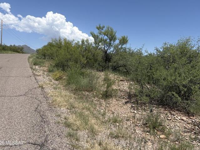 1059 Paseo Magdalena Unit 48, Rio Rico, AZ 85648