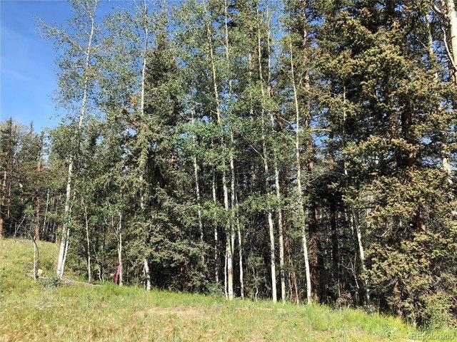 1059 Piaute Way, Como, CO 80432