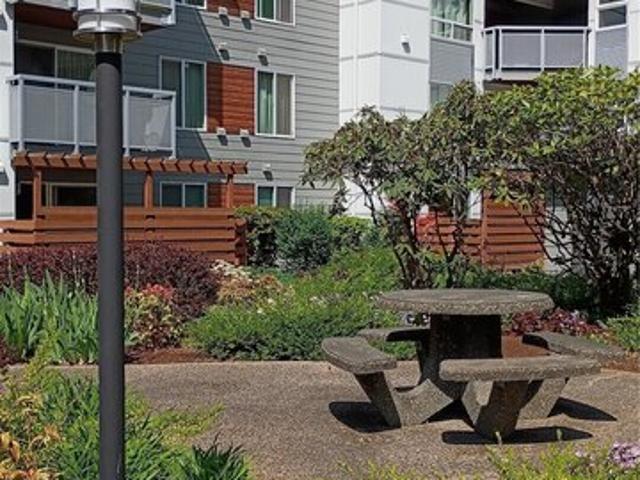 10501 8th Ave NE Apt 115, Seattle, WA 98125