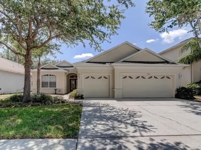 10502 Sky Flower Ct, Land O Lakes, FL 34638