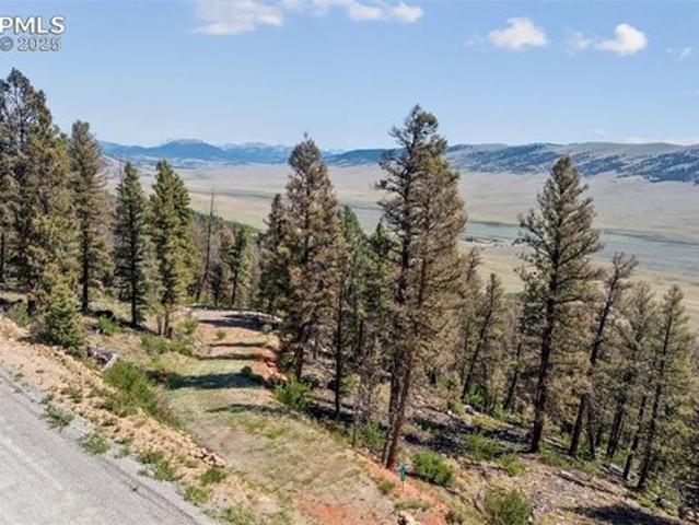 1050 Middle Fork Vis, Fairplay, CO 80440