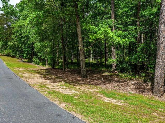 1050 Centennial Post Ln, Greensboro, GA 30642