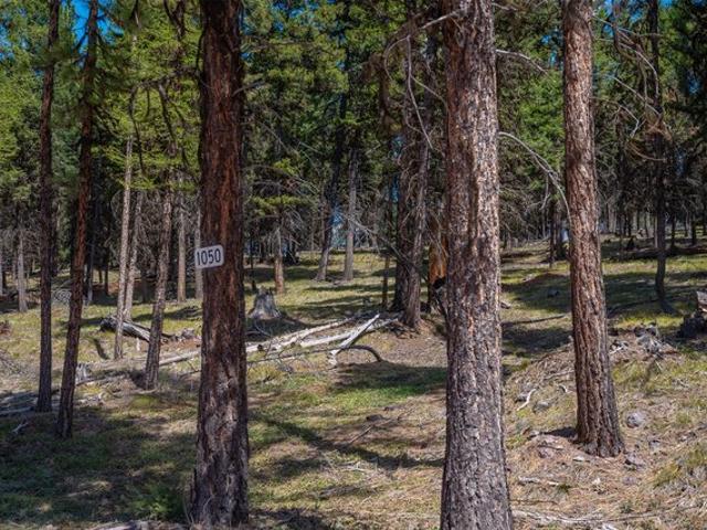 1050 Grandview Dr, Seeley Lake, MT 59868
