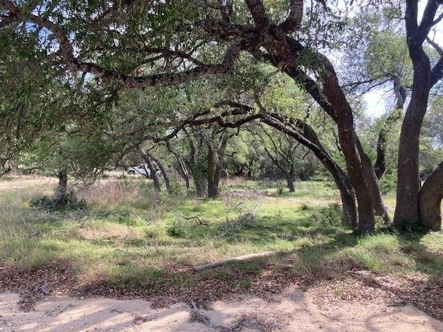 1050 Harmon Hills Rd, Dripping Springs, TX 78620
