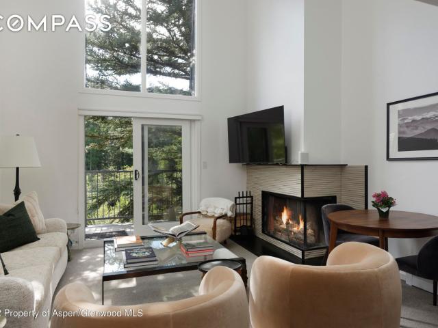 1050 Waters Ave 14, Aspen, CO