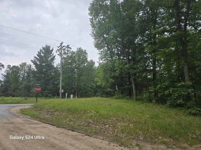 10513 N Peacock Trl, Irons, MI 49644