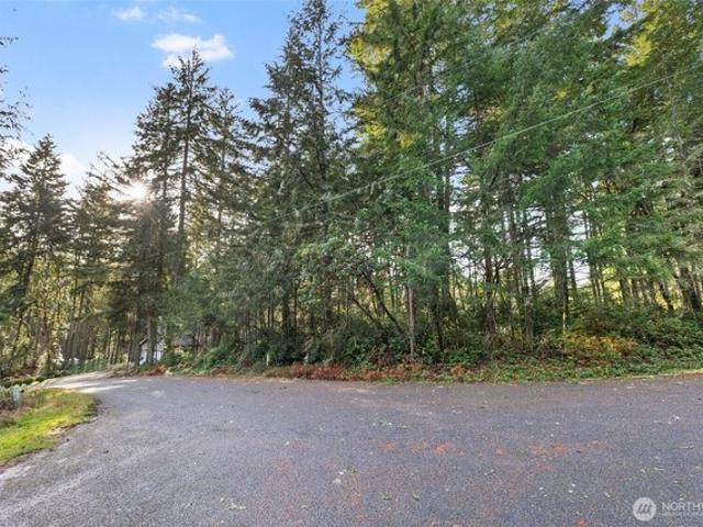 10510 Olympic Pl, Anderson Island, WA 98303