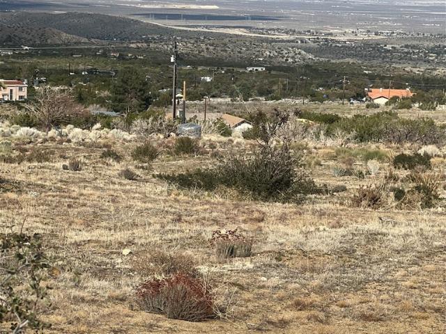 10510 Piute Rd, Littlerock, CA 93543 | MLS #HD26028