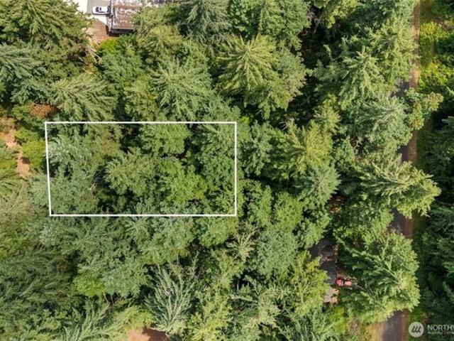 10512 Matthew Lot 19 94, Anderson Island, WA 98303