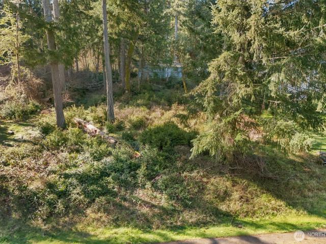 10514 th St Ct, Anderson Island, WA 98303 | MLS #2506 | Compass
