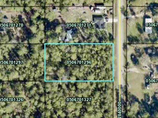 10515 Allison Ave, Hastings, FL 32145