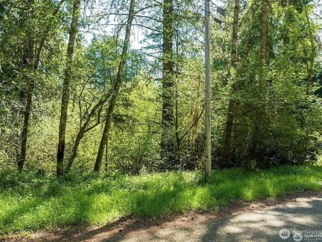10515 Edgewood Dr, Anderson Island, WA 98303