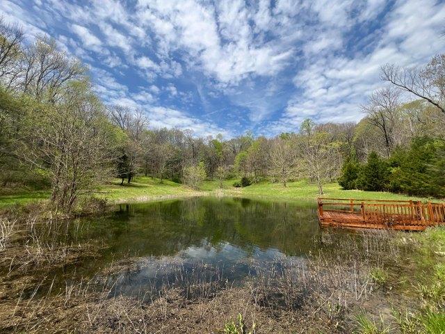 10515 Paw Springs Rd, Arrington, TN 37014