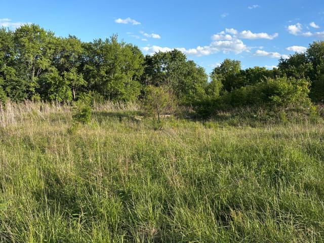 10519 St Rt 730