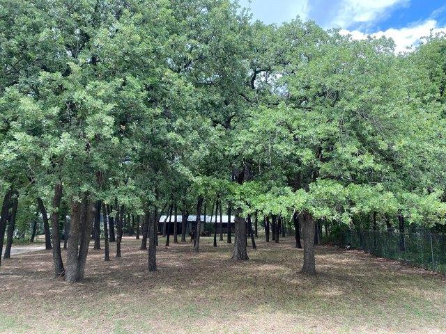 1051 Meadow Oaks St, Reno, TX 76020