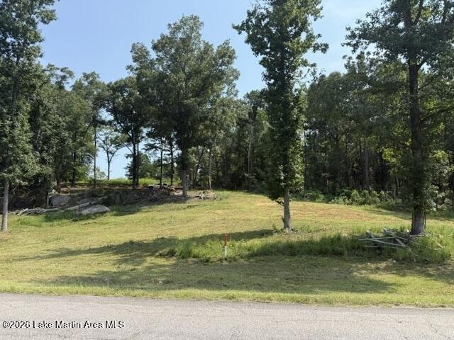 1051 Patrick St, Waverly, AL 36879