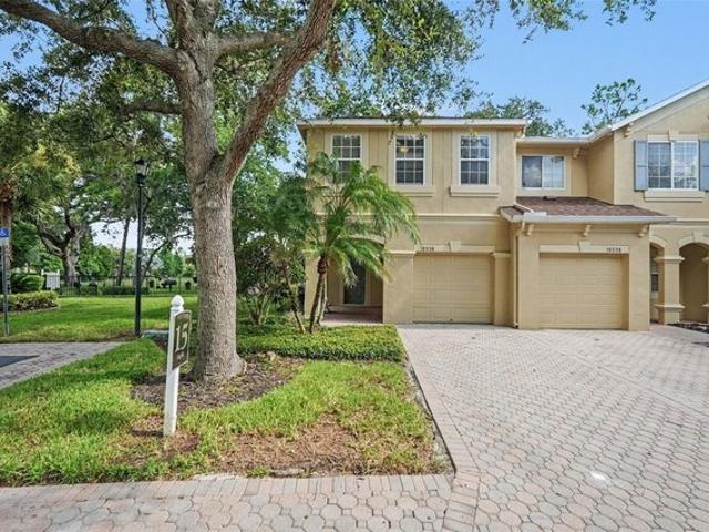 10536 Shady Falls Ct, Riverview, FL 33578