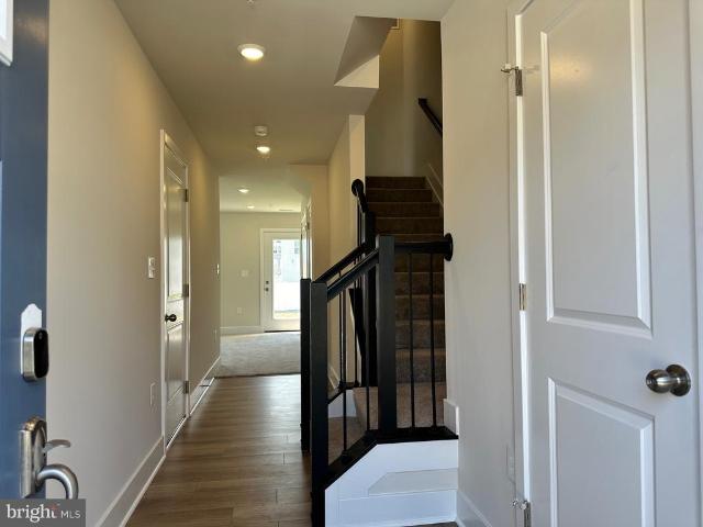 10538 Cobbler Place