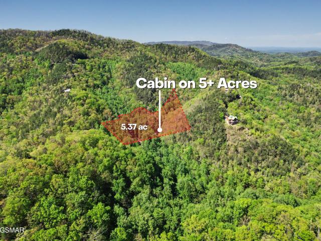 1053 Big Buck Trail