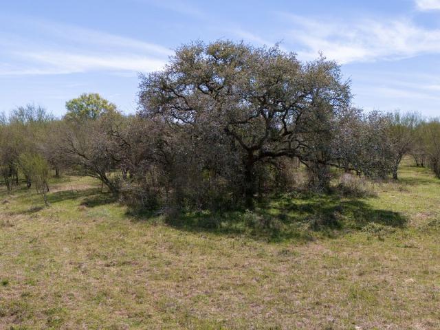 105 Columbus, TX 78934 | MLS #62067 | Compass