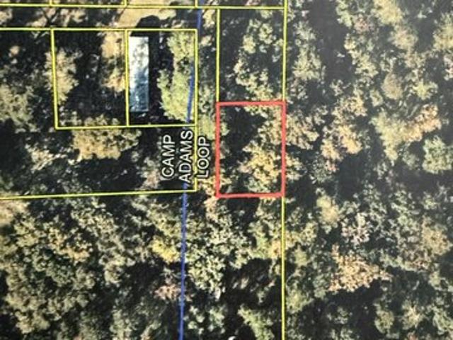 105 Camp Adams Loop, Ponce de Leon, FL 32455