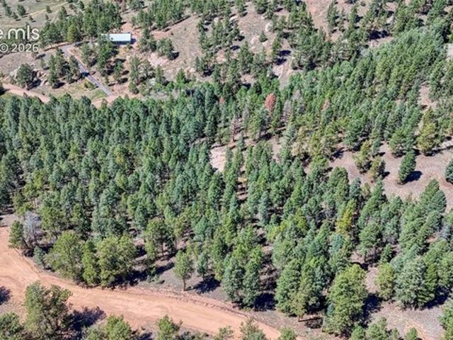 105 Carlton Cir, Florissant, CO 80816
