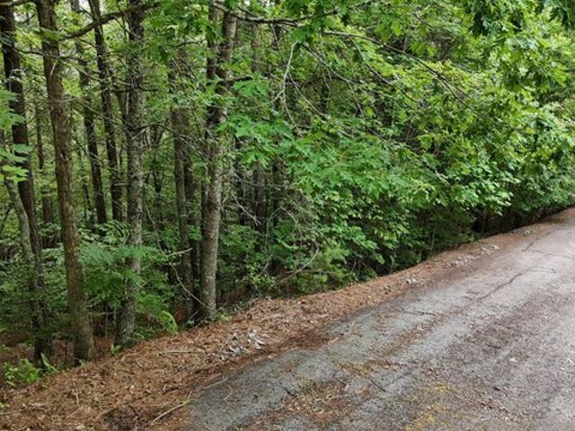 105 Choctaw Ridge Trail, Murphy, NC 28906
