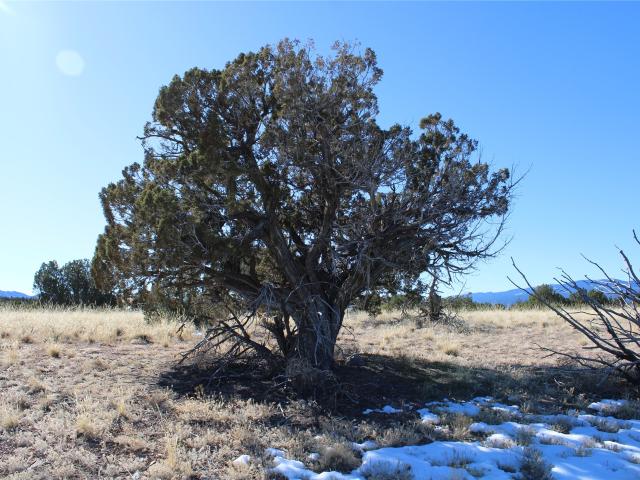 105 Acres