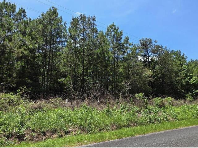 105 Acres Chestnut Ridge Road