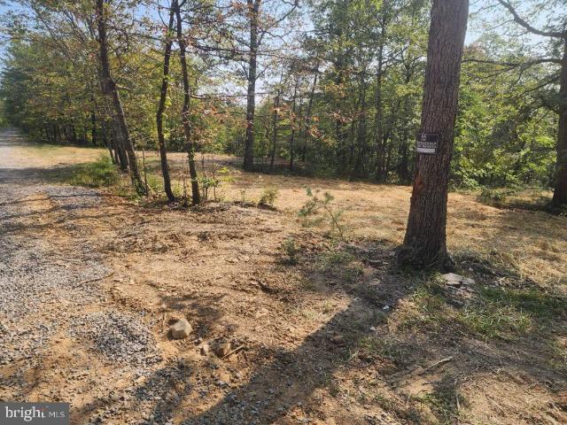 105 Arum Trail, Star Tannery, VA 22654 | MLS #VAFV2019