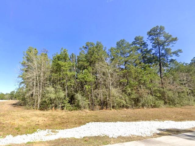 105 Bunkhouse Rd, New Waverly, TX 77358 | MLS #9095