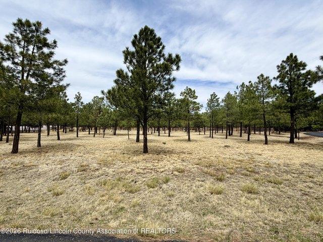 105 Goldenrod Ln Lot 14, Alto, NM 88312