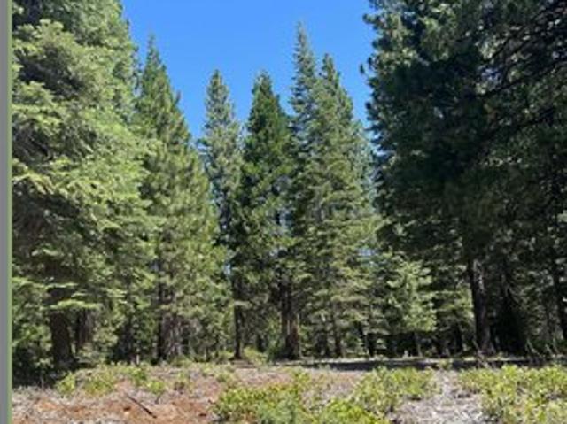 105 Fox Head Dr, Lake Almanor, CA 96137
