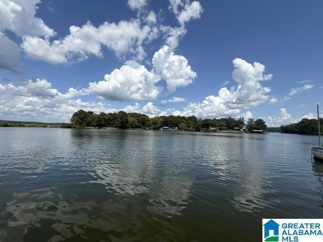 105 Hollis Court Rd, Vincent, AL 35178