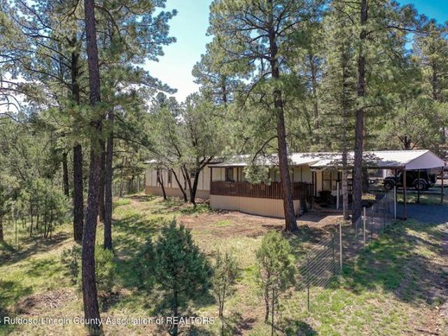 105 Honeydew Ln, Alto, NM 88312