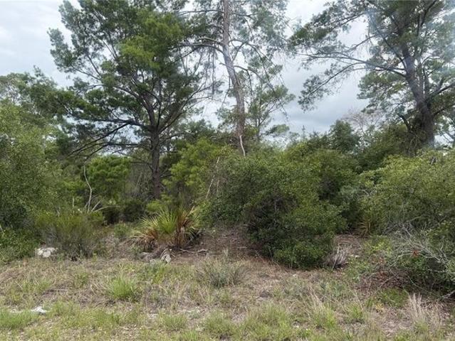 105 Hoover Ave NE, Lake Placid, FL 33852