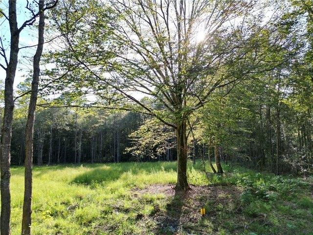 105 Hialeah Dr Lot 29, Bush, LA 70431