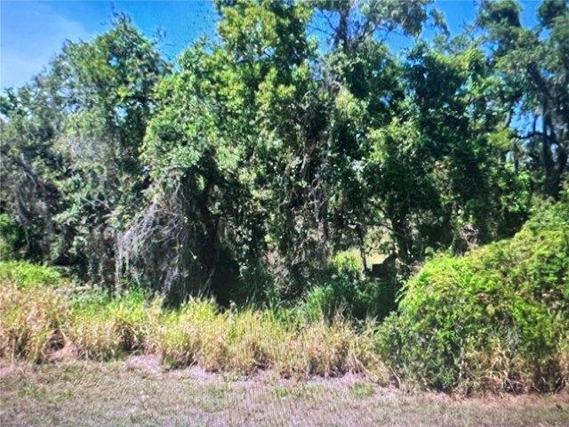 105 Jamison Ave, Lake Placid, FL 33852