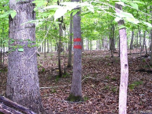 105 Oak Run Lot 105, Clarksville, VA 23927